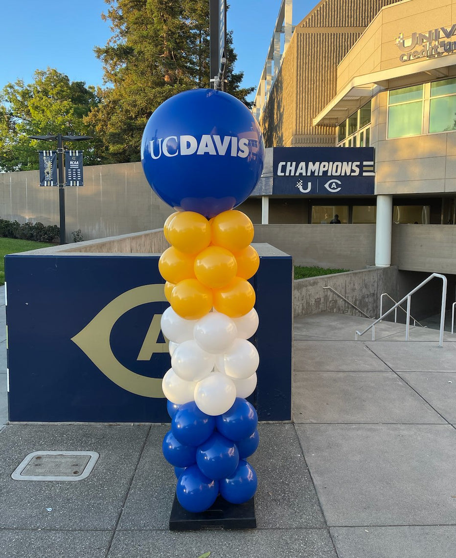 Classic Balloon Column Rental – Lush Balloons
