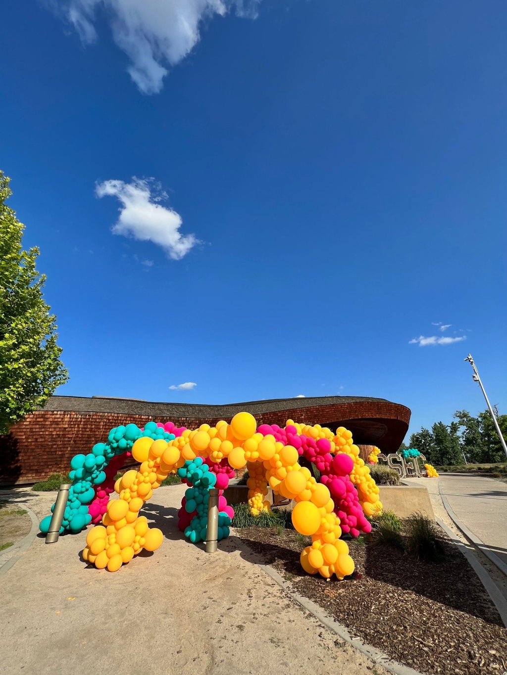 Extra Lush Organic Balloon Arch Rental – Lush Balloons