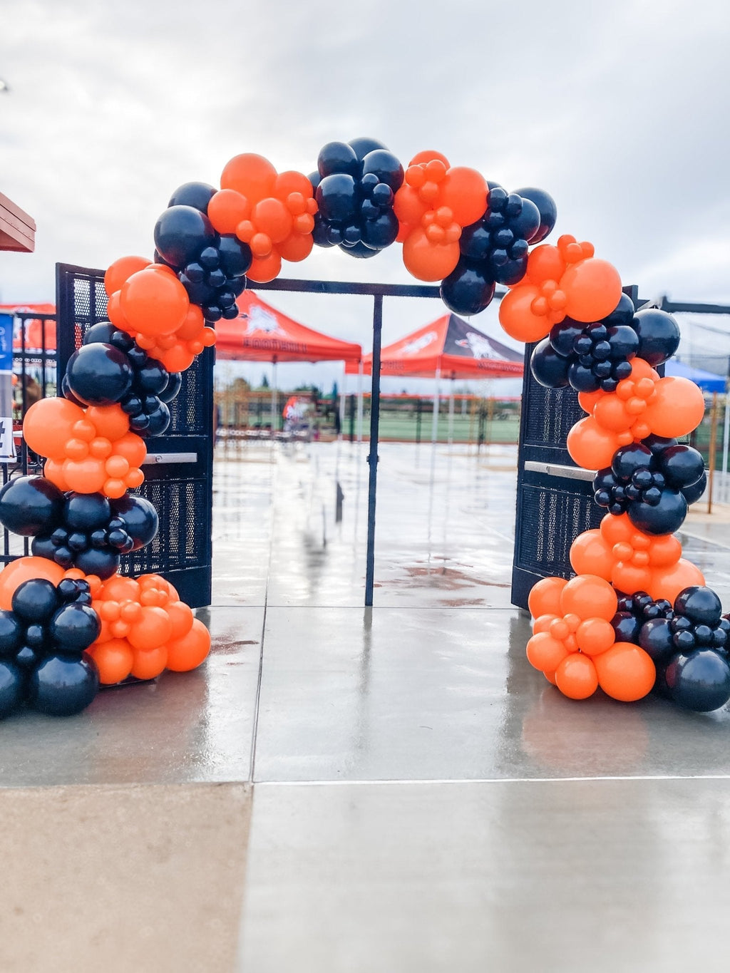 Organic Balloon Arch Rental – Lush Balloons